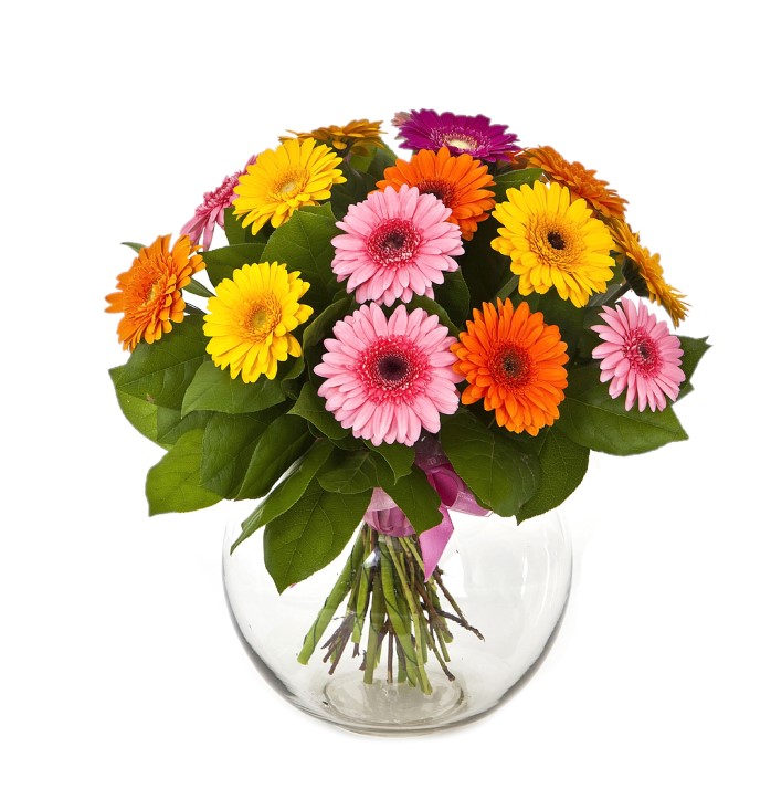 Bouquet of multi-coloured gerberas - Italian Flora