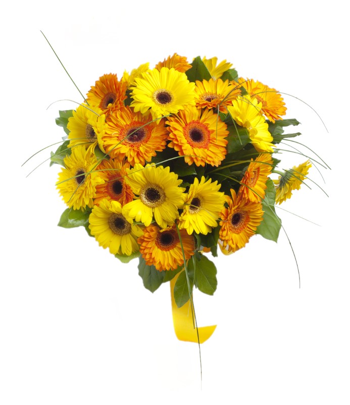 Bouquet of yellow gerberas - Italian Flora