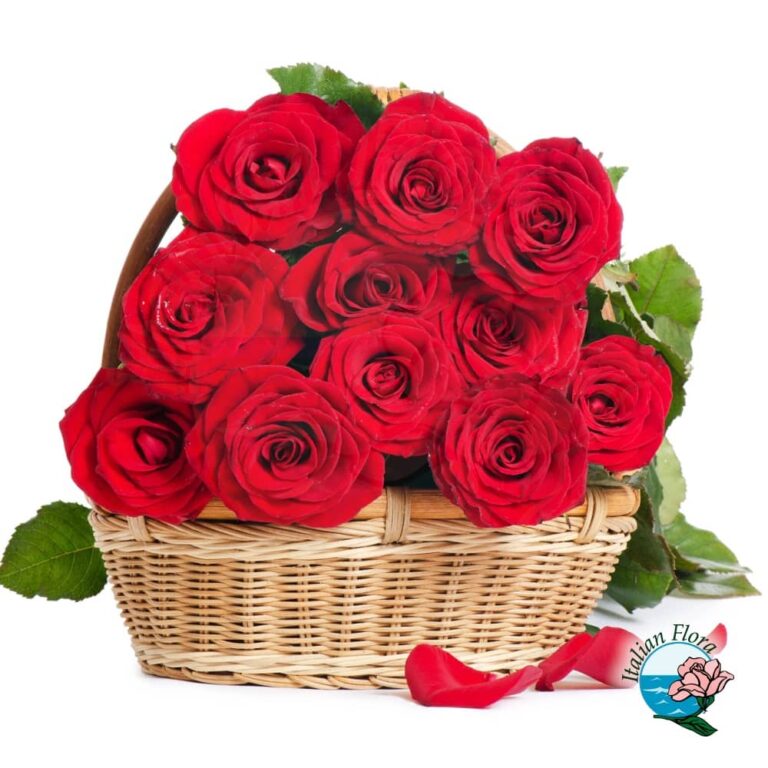 Bunch of red roses - Italian Flora