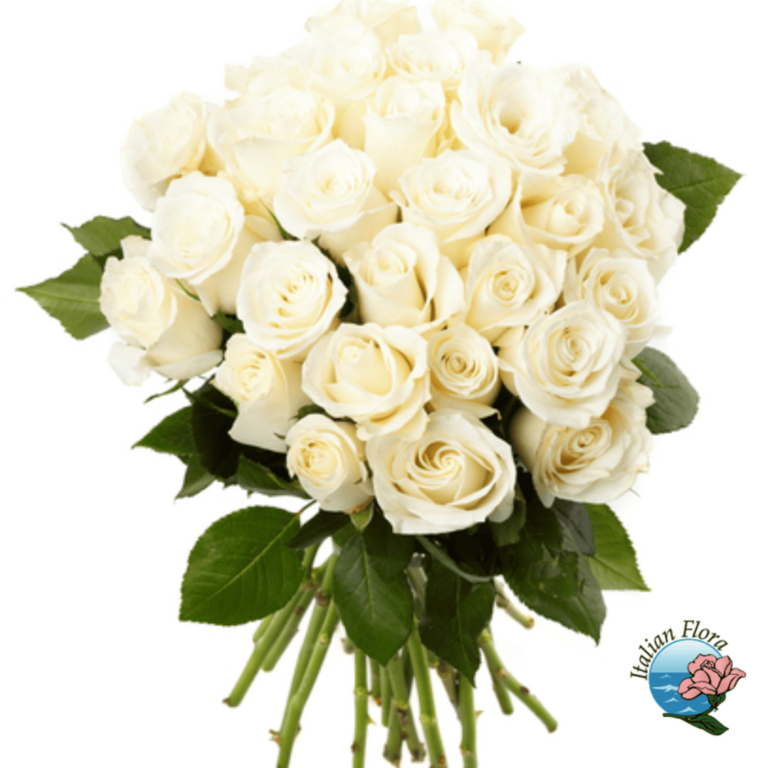 Bouquet of 24 White Roses - Italian Flora