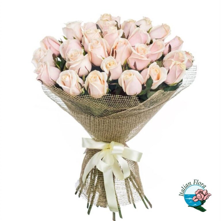 Bouquet of 24 light pink roses - same day delivery - free shipping