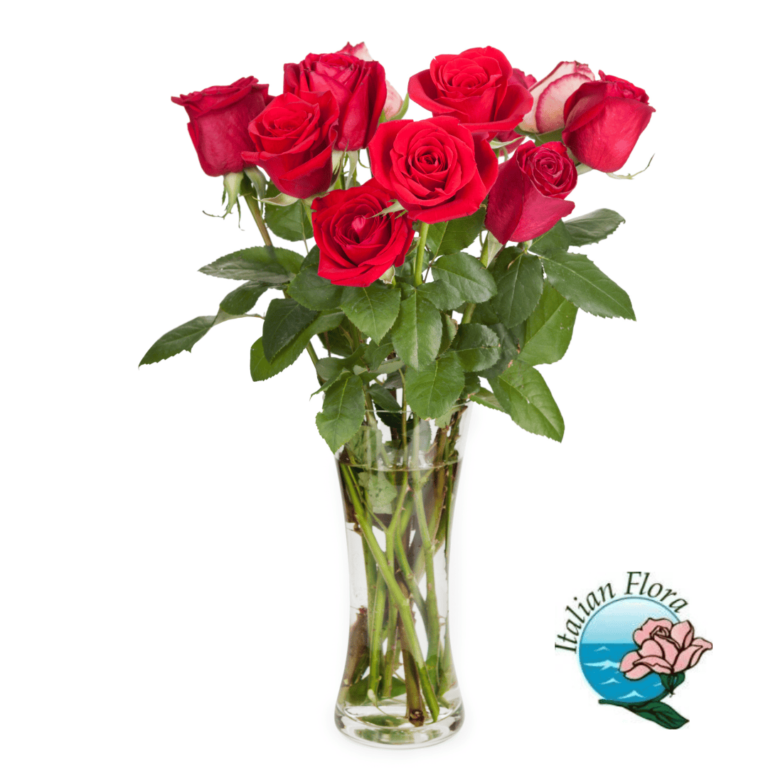 9 rose rosse | Flora italiana