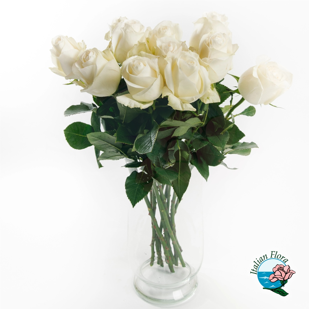 9 White Roses - same day delivery worldwide - free shipping
