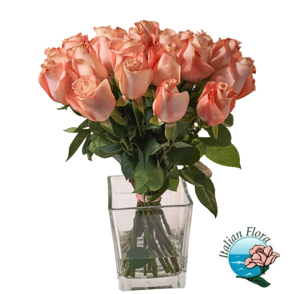 Seikat 18 Bunga Mawar Salmon | Italian Flora